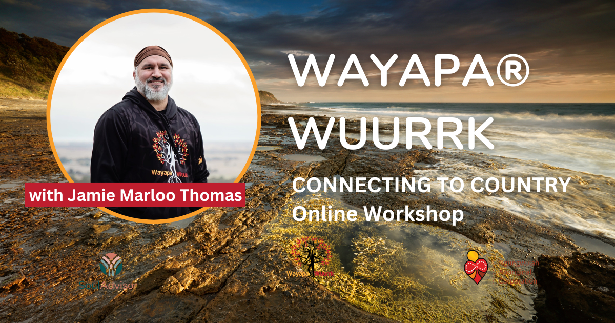 Wayapa Wuurrk® with Jamie Marloo Thomas in on Sun, 25 Jun 2023 ...